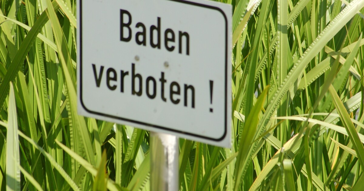 Muhr am See/Schlungenhof | erstes Badeverbot | Radio 8